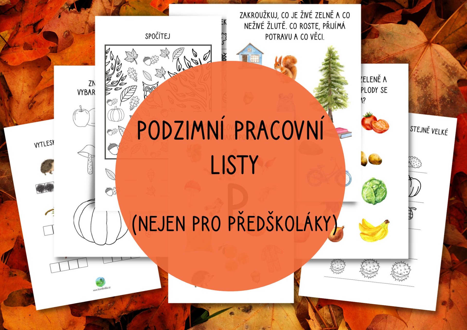 tvoření z kaštanů